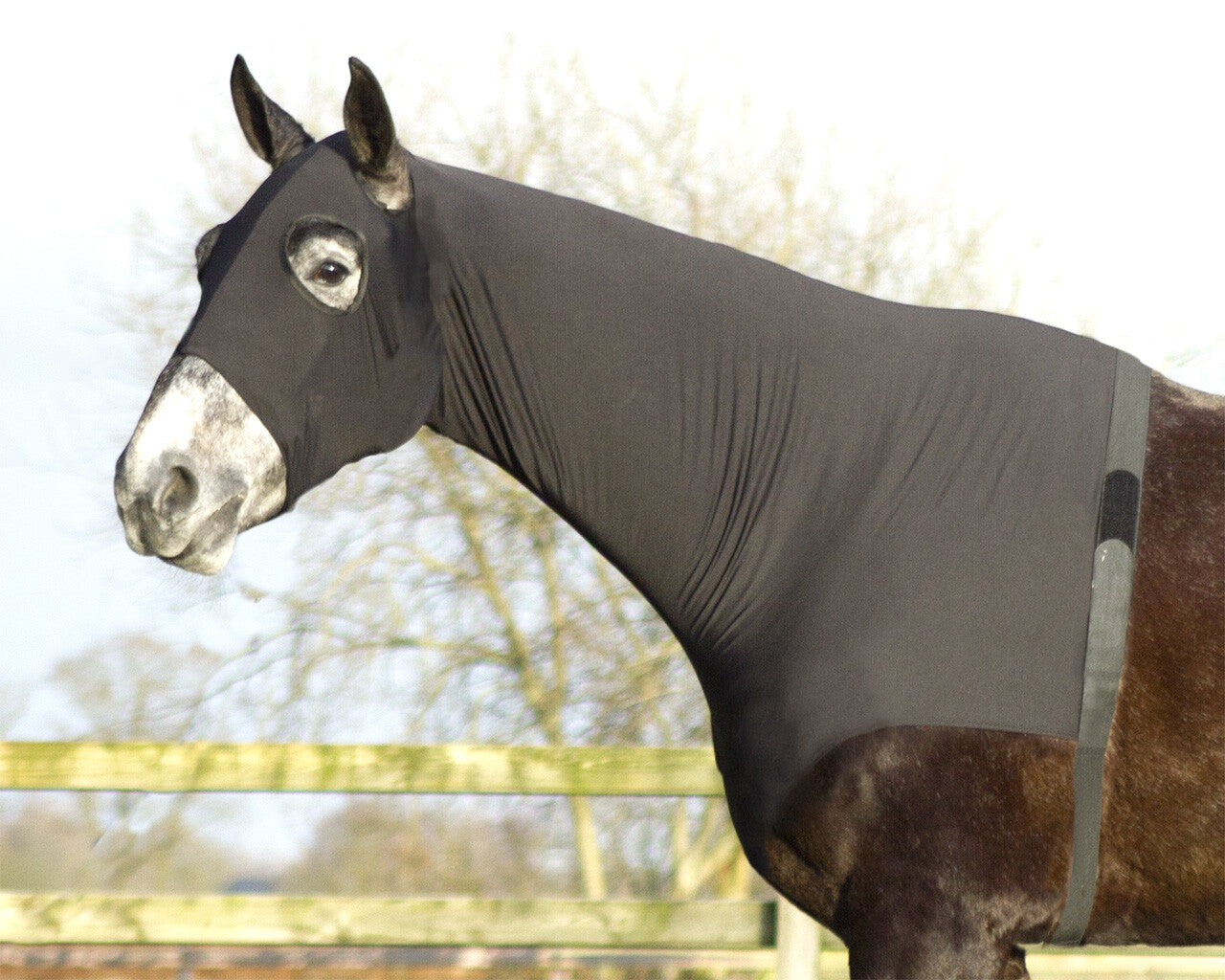 QHP Elastic Neck Protector – Nice Equestrian